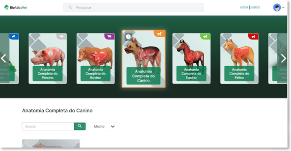 Como posso ter o BioAtlas Vet em SSO? – Medical Harbour - Português